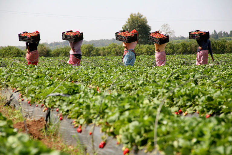 Messem: old-school reliability from a modern company