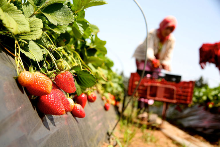 Trust in Messem’s high level of service and reliability