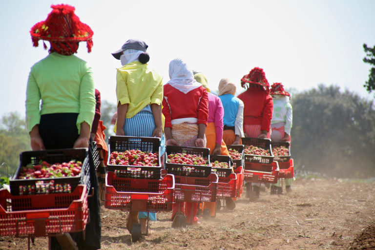 Messem: old-school reliability from a modern company