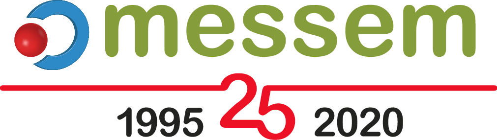 Welcome to Messem International. Frozen strawberries from Morocco.